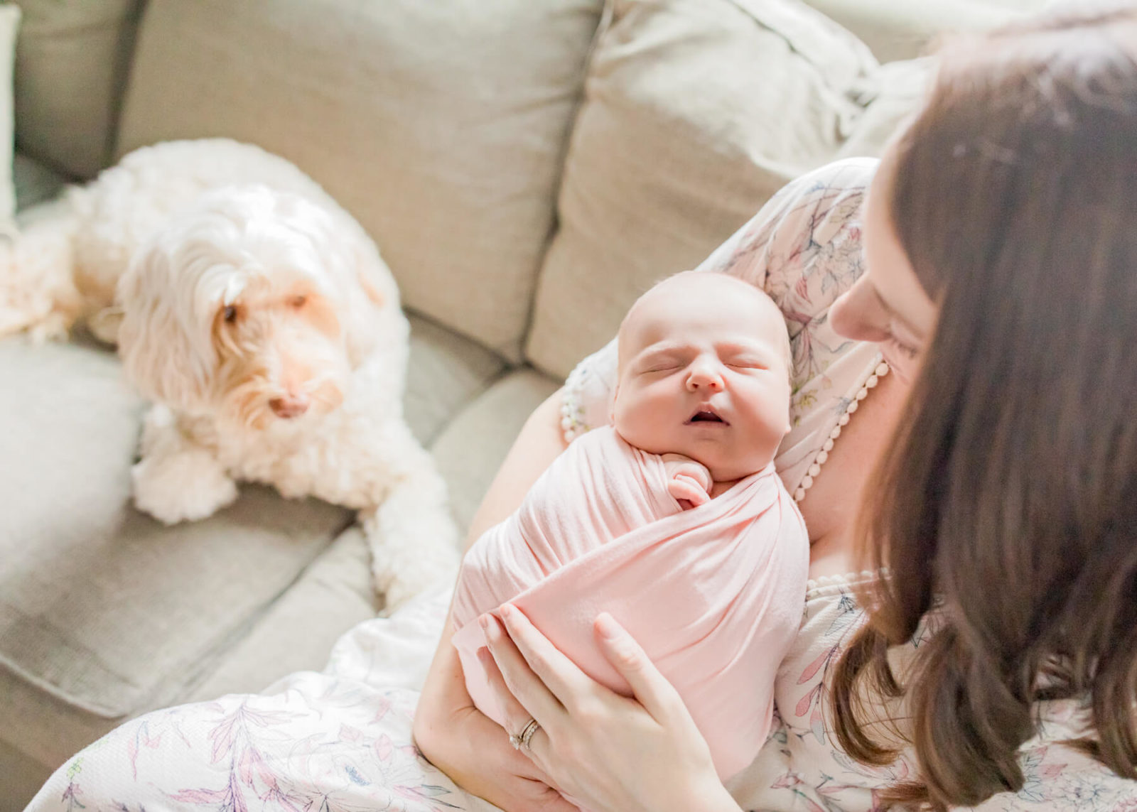 Tips on introducing your newborn to your dog - Isabel Sweet
