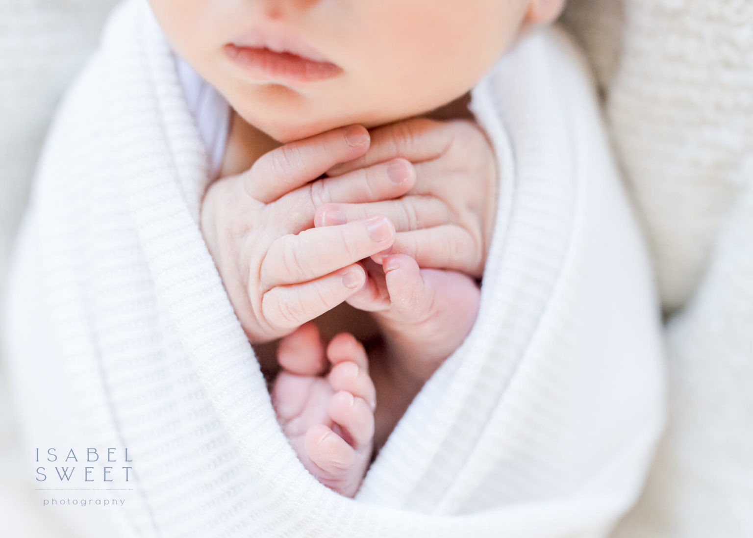 North End Boston | baby photos | Kiera - Isabel Sweet