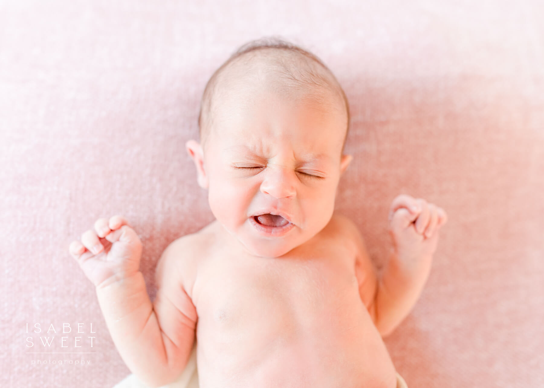 North End Boston | baby photos | Kiera - Isabel Sweet